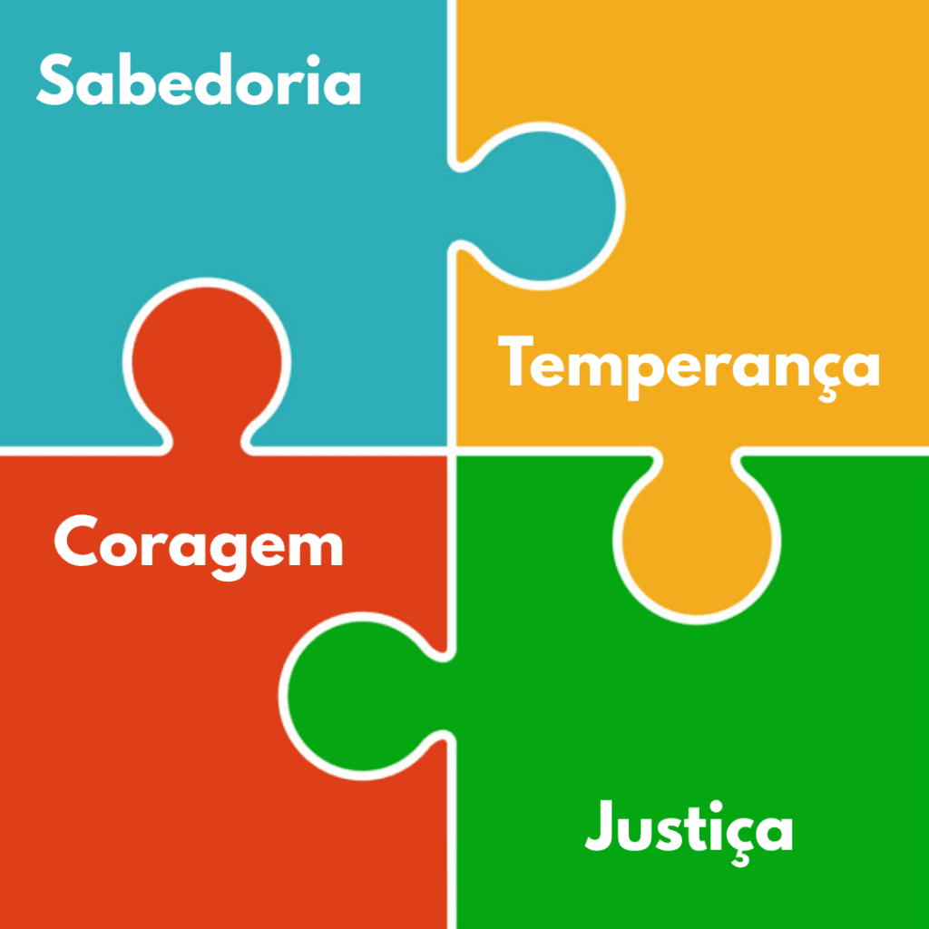 Princípios estoicos: Uma Filosofia para uma Vida Virtuosa - Sábio Estóico